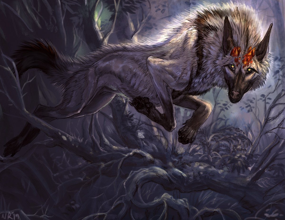 The Big ImageBoard (TBIB) - 2019 4 toes ambiguous gender canid canine canis digital media ...