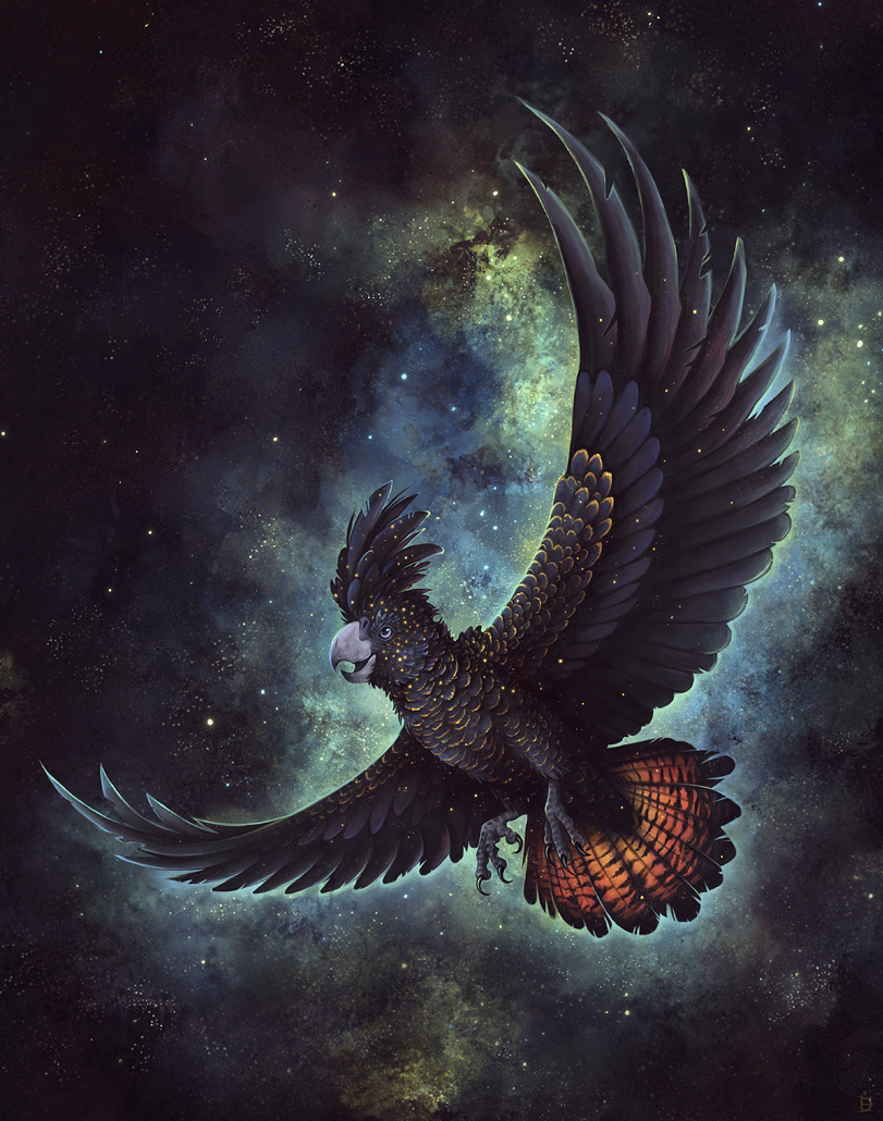 The Big ImageBoard (TBIB) - 2018 ambiguous gender avian beak bird black body black feathers ...