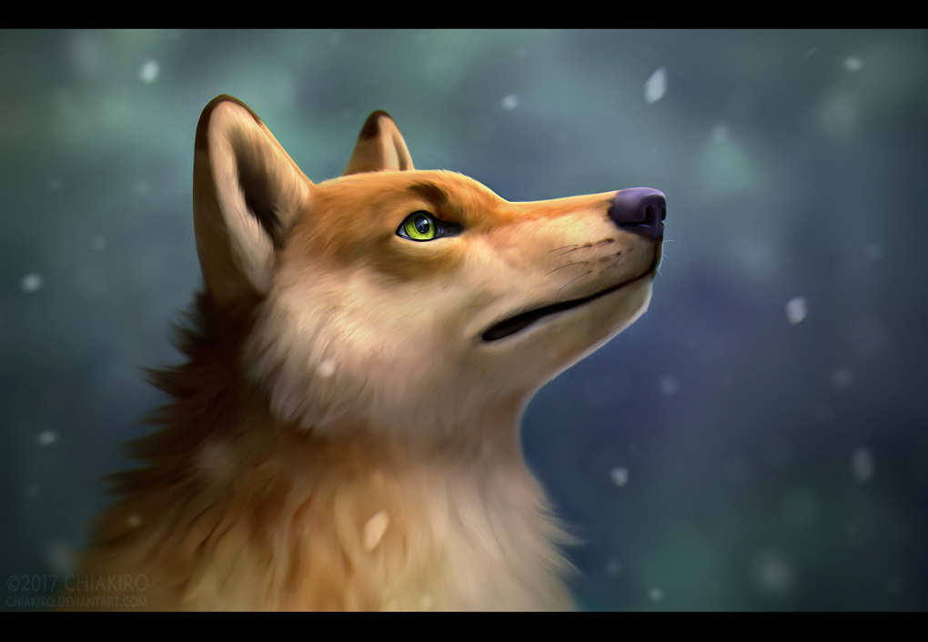 The Big ImageBoard (TBIB) - 2017 ambiguous gender black bars black nose brown body brown fur ...