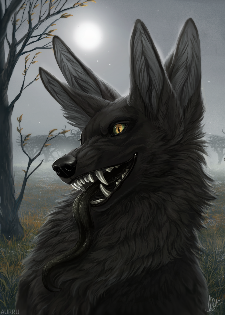 The Big ImageBoard (TBIB) - 2020 aurru black body black fur black nose canid canine day detailed ...
