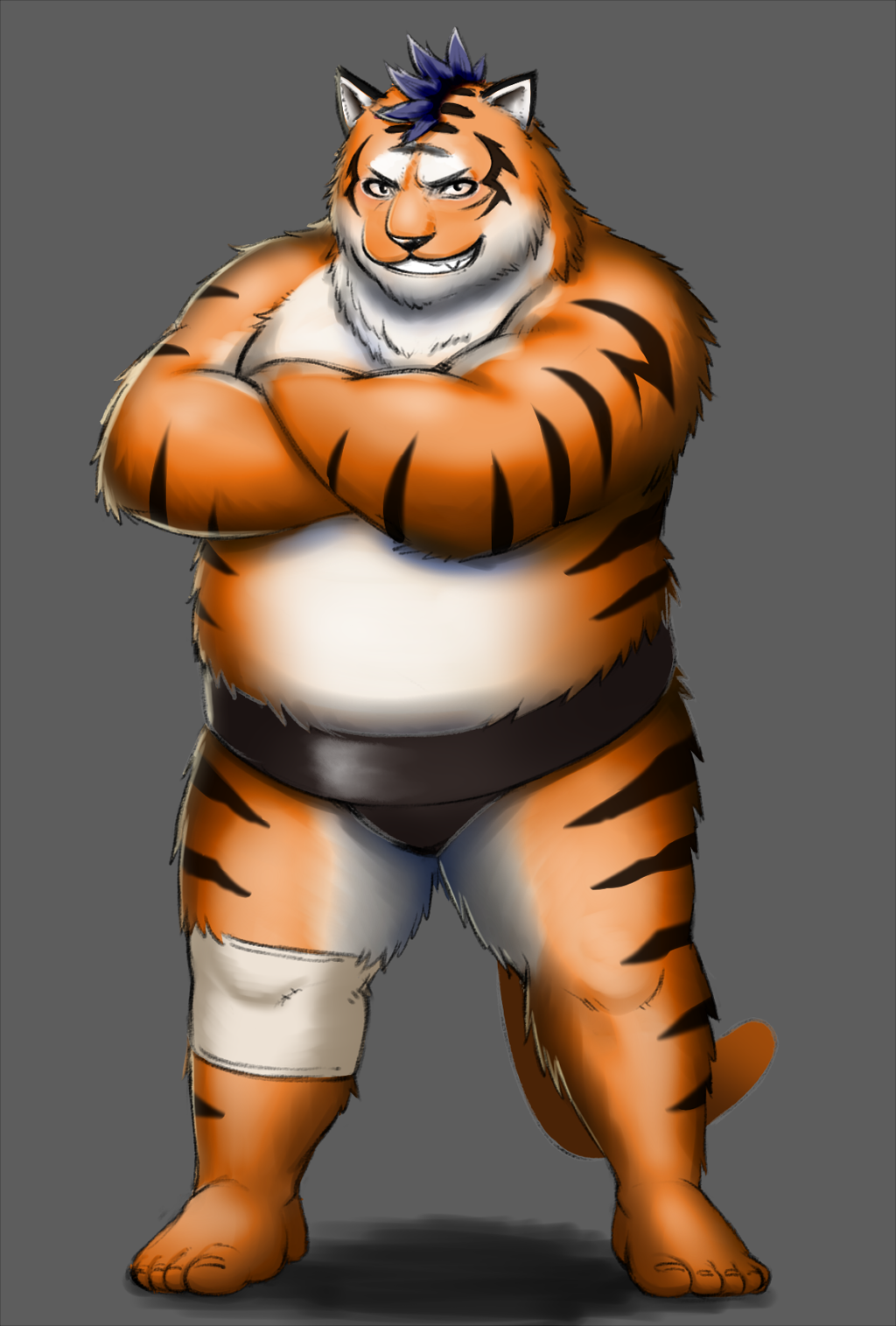 The Big ImageBoard (TBIB) - 2020 anthro belly felid hi res kemono male mammal noko illust ...