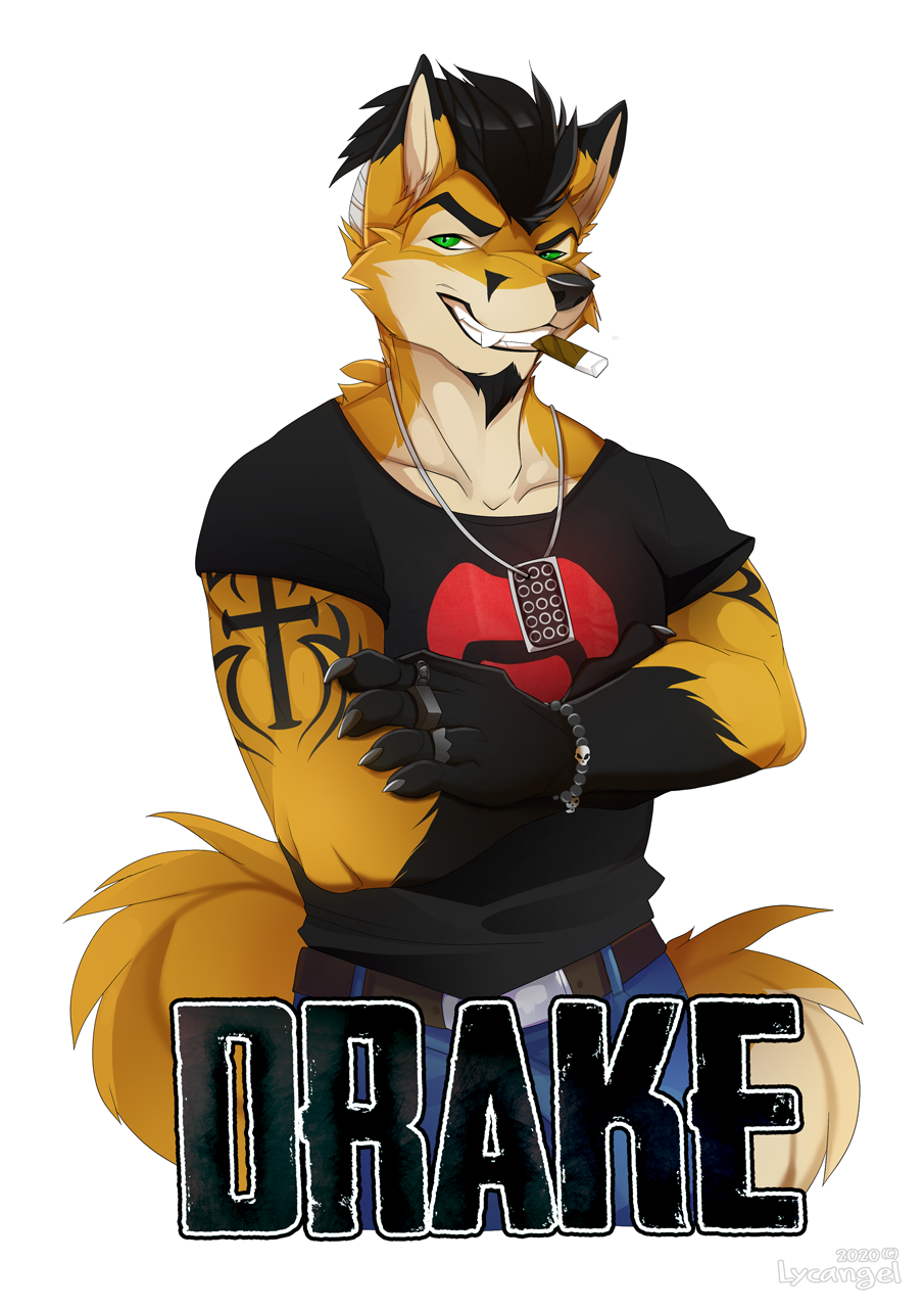 The Big ImageBoard (TBIB) - 2020 5 fingers anthro black hair canid canine clothed clothing ...