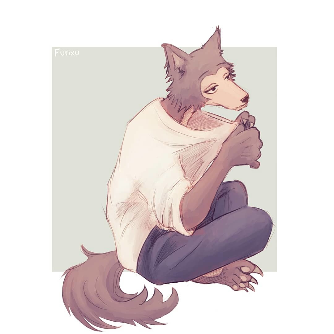 The Big ImageBoard (TBIB) - 1:1 2020 anthro barefoot beastars bottomwear canid canine canis ...