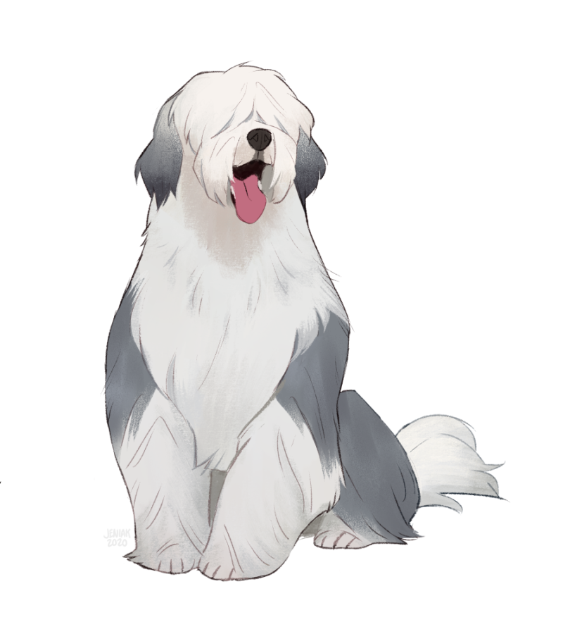 The Big ImageBoard (TBIB) - 2020 4 toes ambiguous gender canid canine canis digital media ...