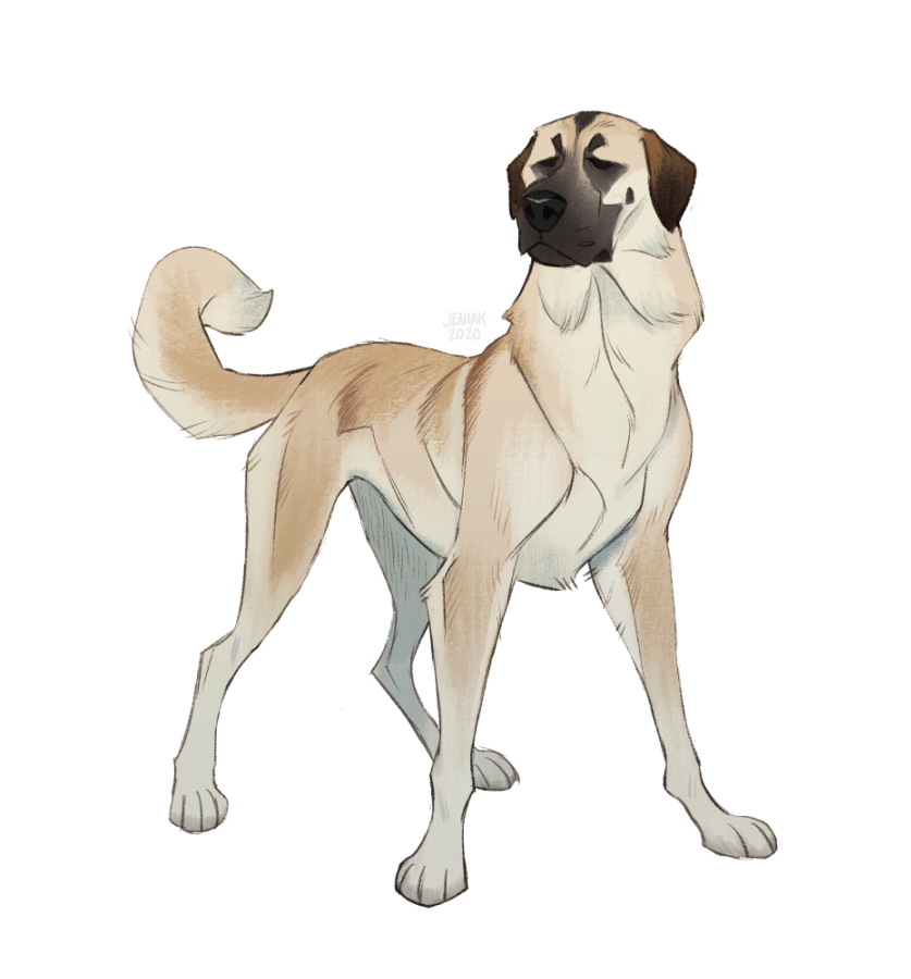 The Big ImageBoard (TBIB) - 2020 4 toes ambiguous gender black body black fur black nose brown ...