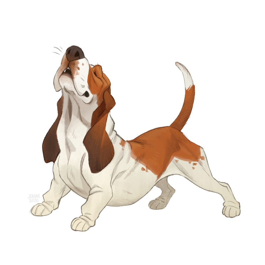 The Big ImageBoard (TBIB) - 1:1 2020 4 toes ambiguous gender basset hound black nose brown body ...