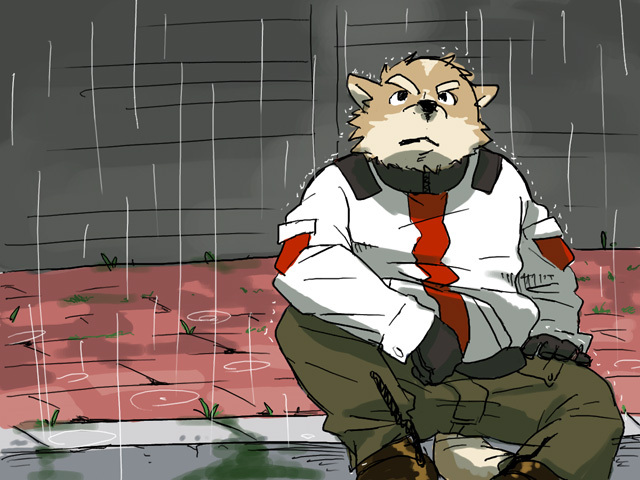 The Big ImageBoard (TBIB) - 2008 4:3 anthro black nose bottomwear brown body brown fur canid ...