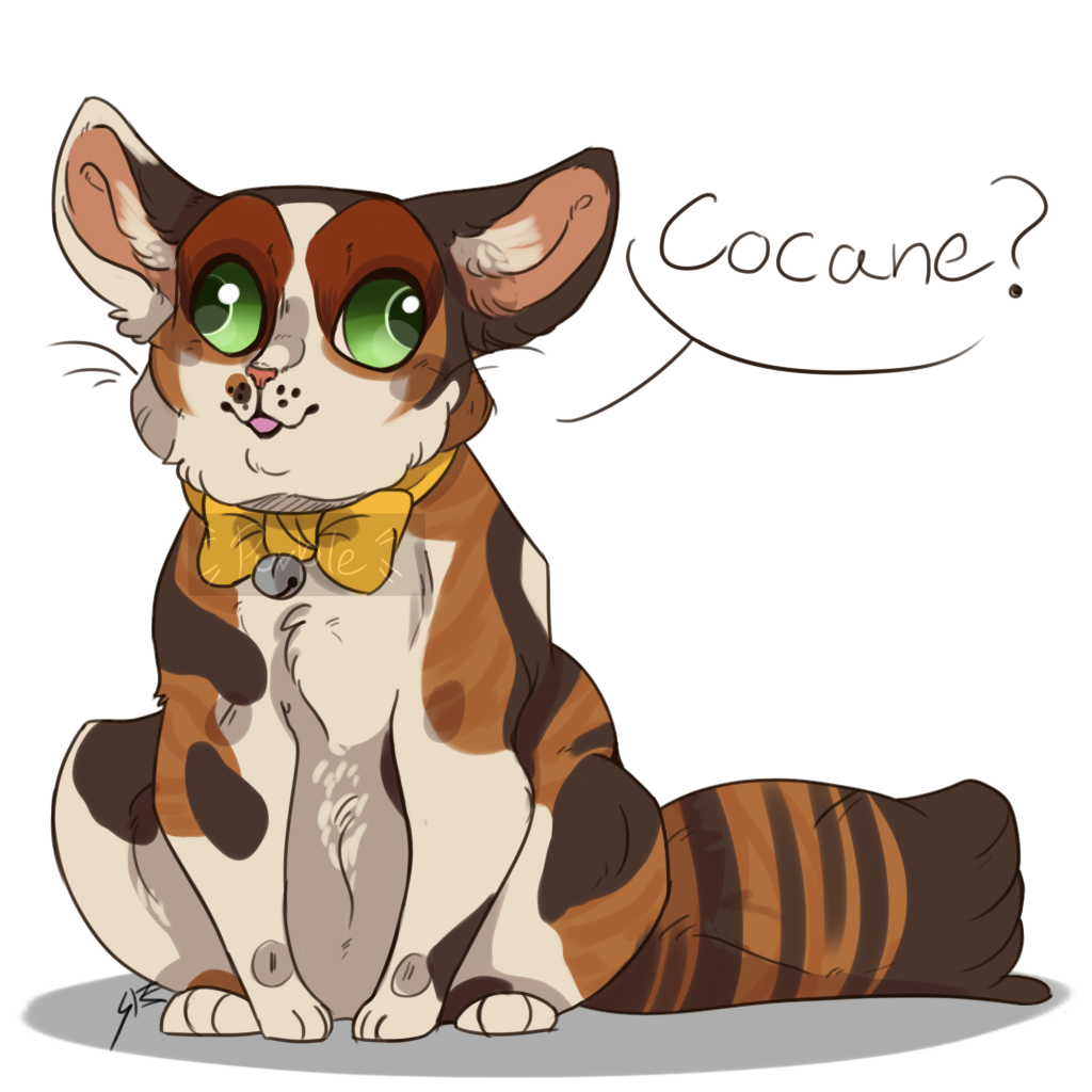 The Big ImageBoard (TBIB) - 1:1 :3 ? bell bell collar bow tie brown ...