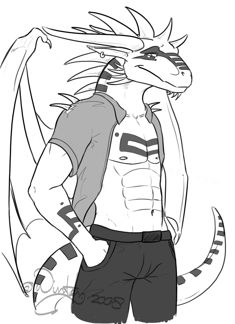 The Big Imageboard Tbib 2008 Abs Anthro Athletic Athletic Anthro 5744