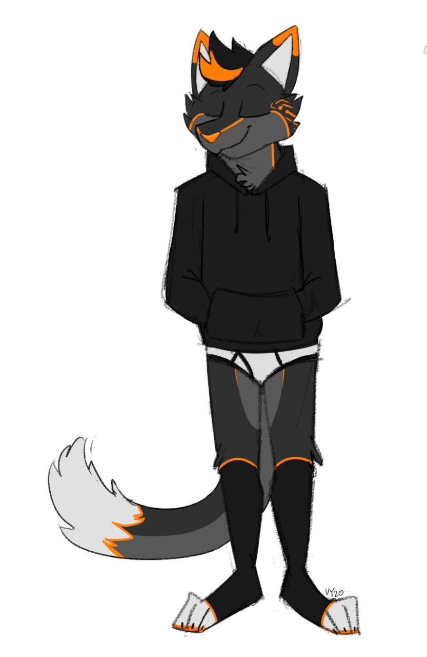 The Big ImageBoard (TBIB) - anthro black clothing black hoodie black topwear briefs canid canine ...