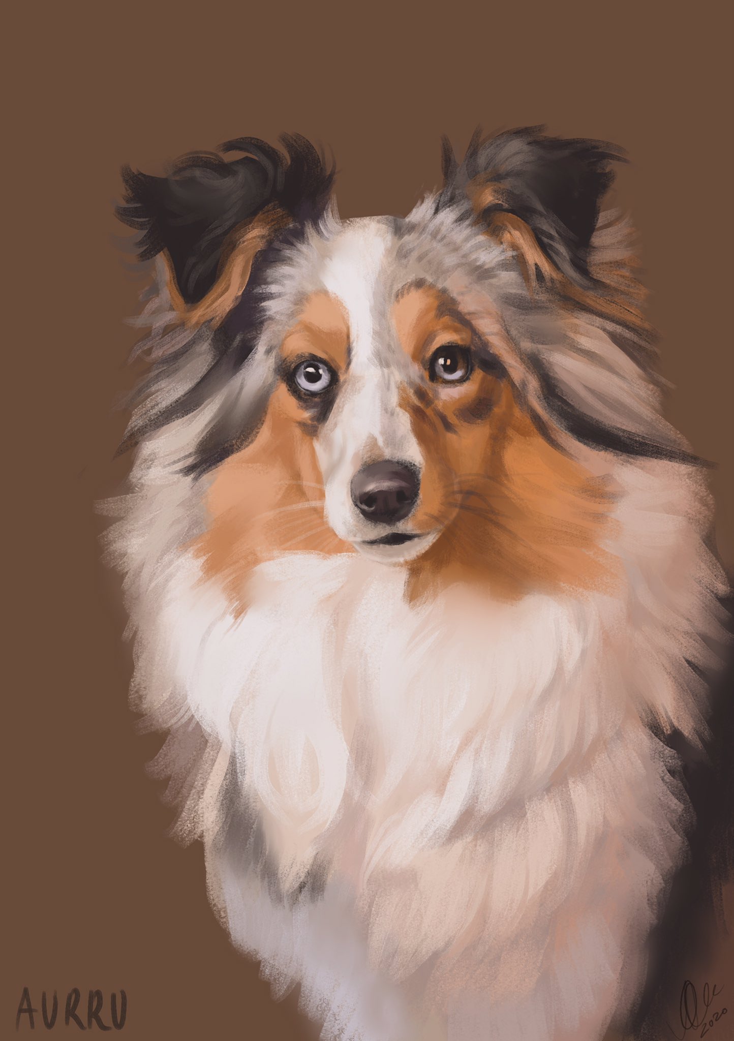 The Big ImageBoard (TBIB) - 2020 ambiguous gender aurru australian shepherd black nose brown ...