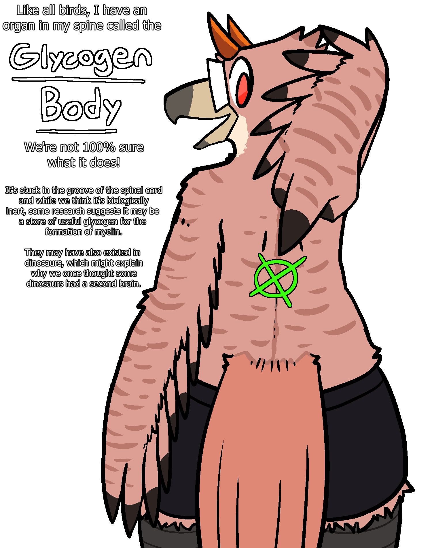 The Big Imageboard Tbib Accipitrid Accipitriform Aliasing Alpha
