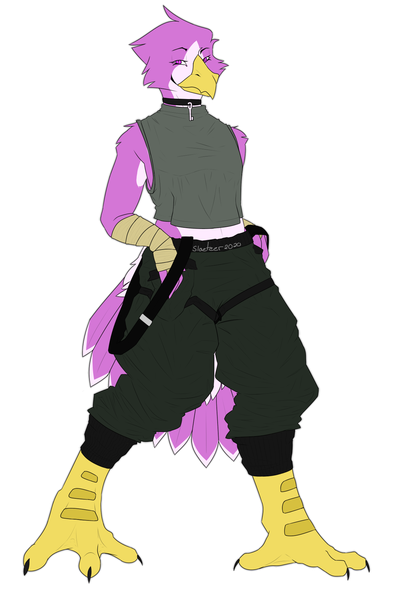 The Big ImageBoard (TBIB) - 2020 2:3 alpha channel anthro avian bandage barefoot beak bird ...