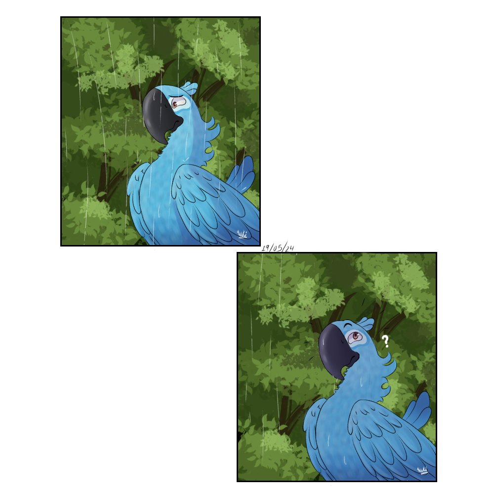 The Big Imageboard Tbib Avian Beak Bird Black Beak Blu Rio Blue
