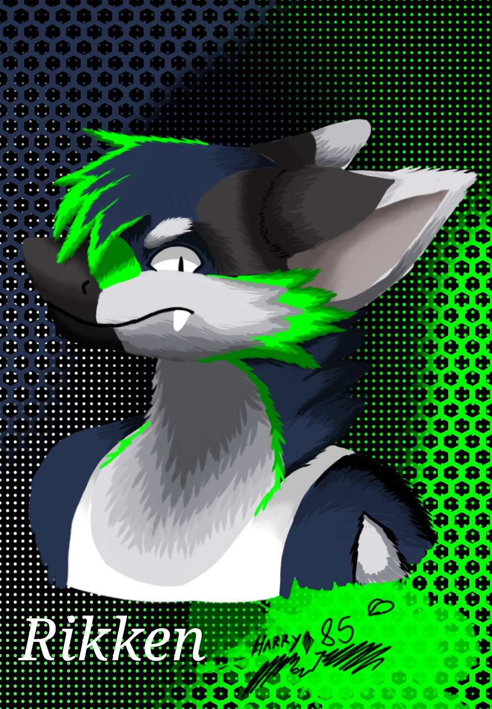 The Big ImageBoard (TBIB) - 2021 anthro black body black fur black nose blue body blue fur ...