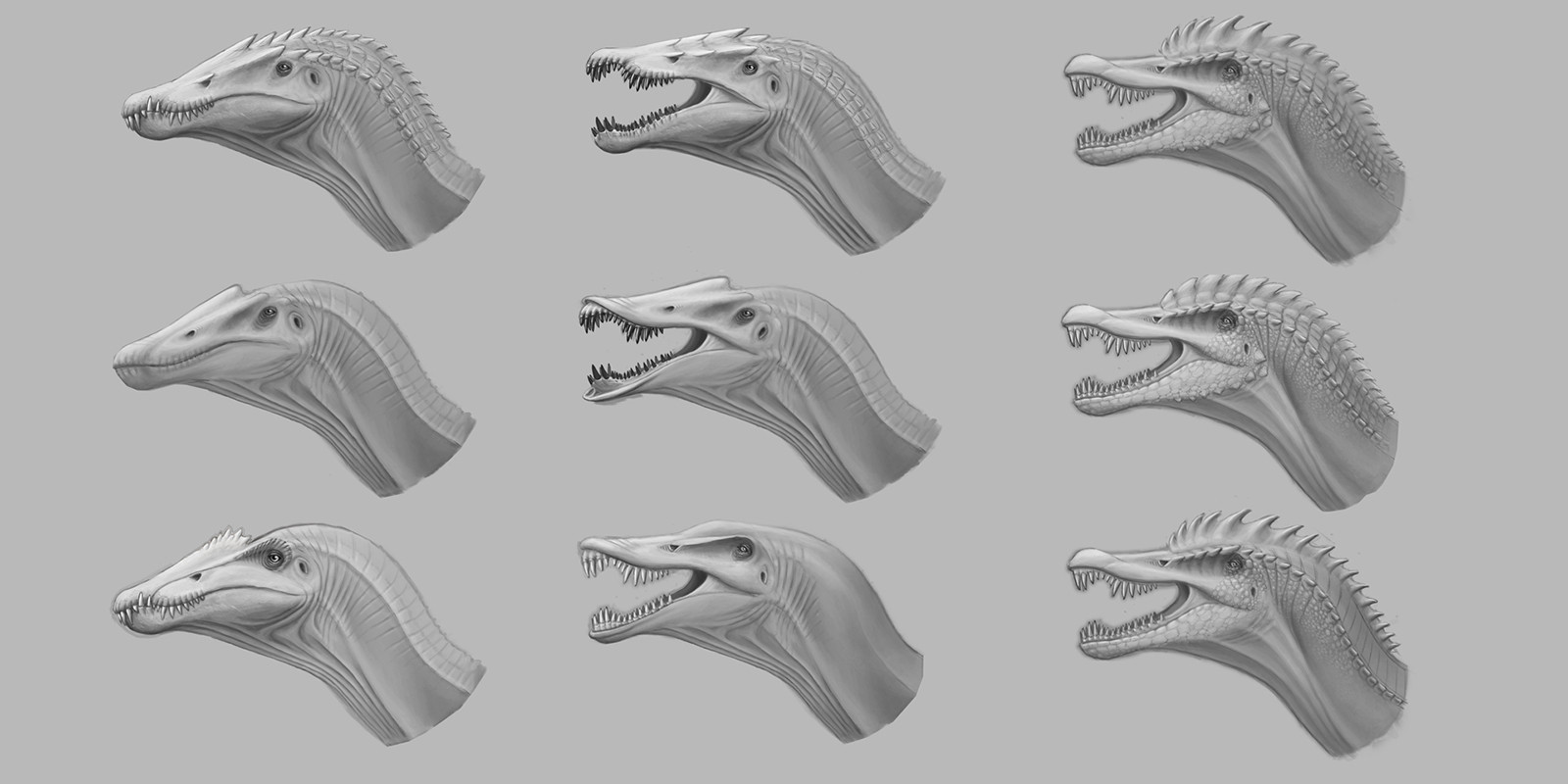 The Big ImageBoard (TBIB) - animal animal focus art study buccal flap ...