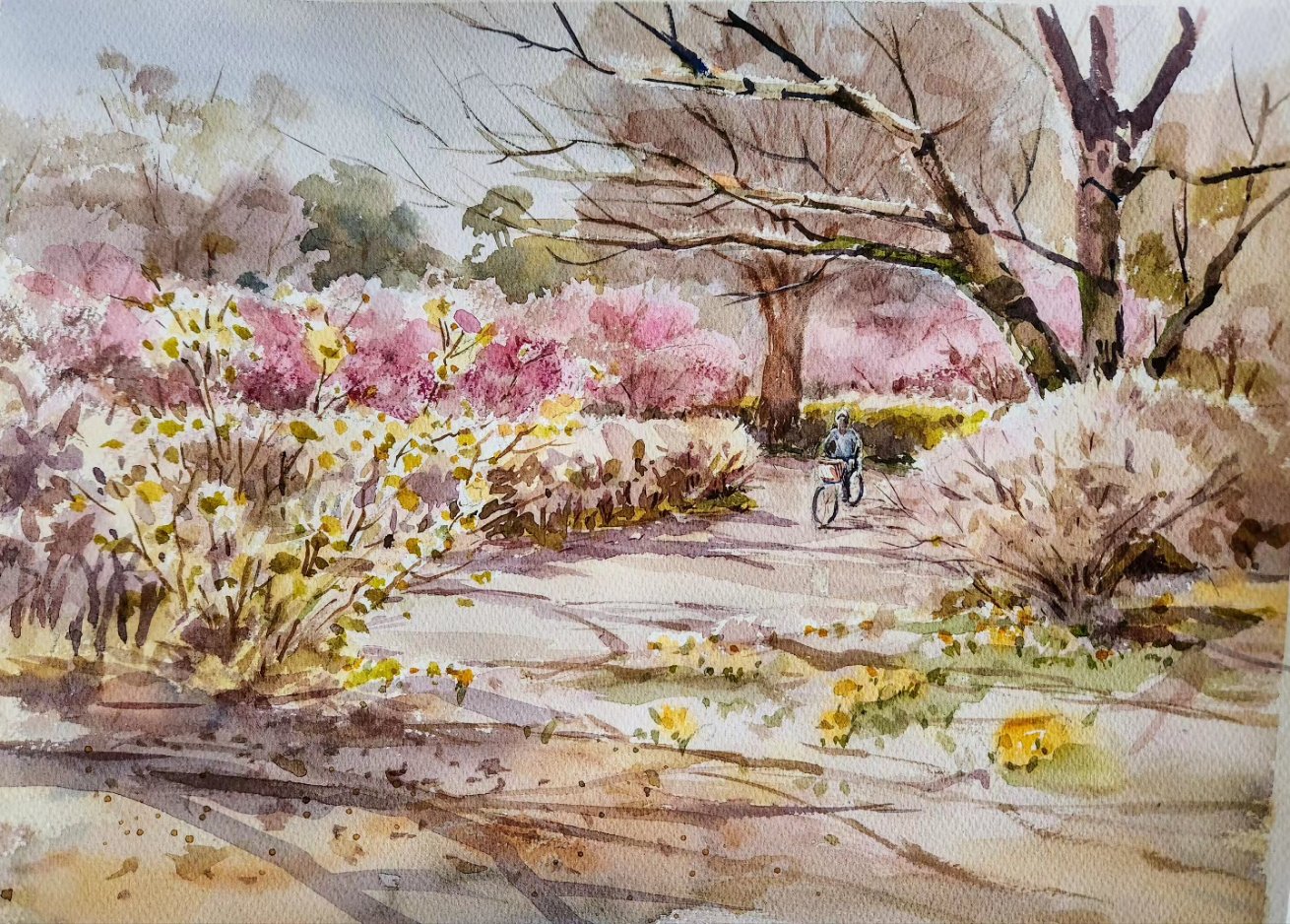 The Big ImageBoard (TBIB) - 1boy akemisuisai bare tree bicycle blue sky bush cloud cloudy sky ...