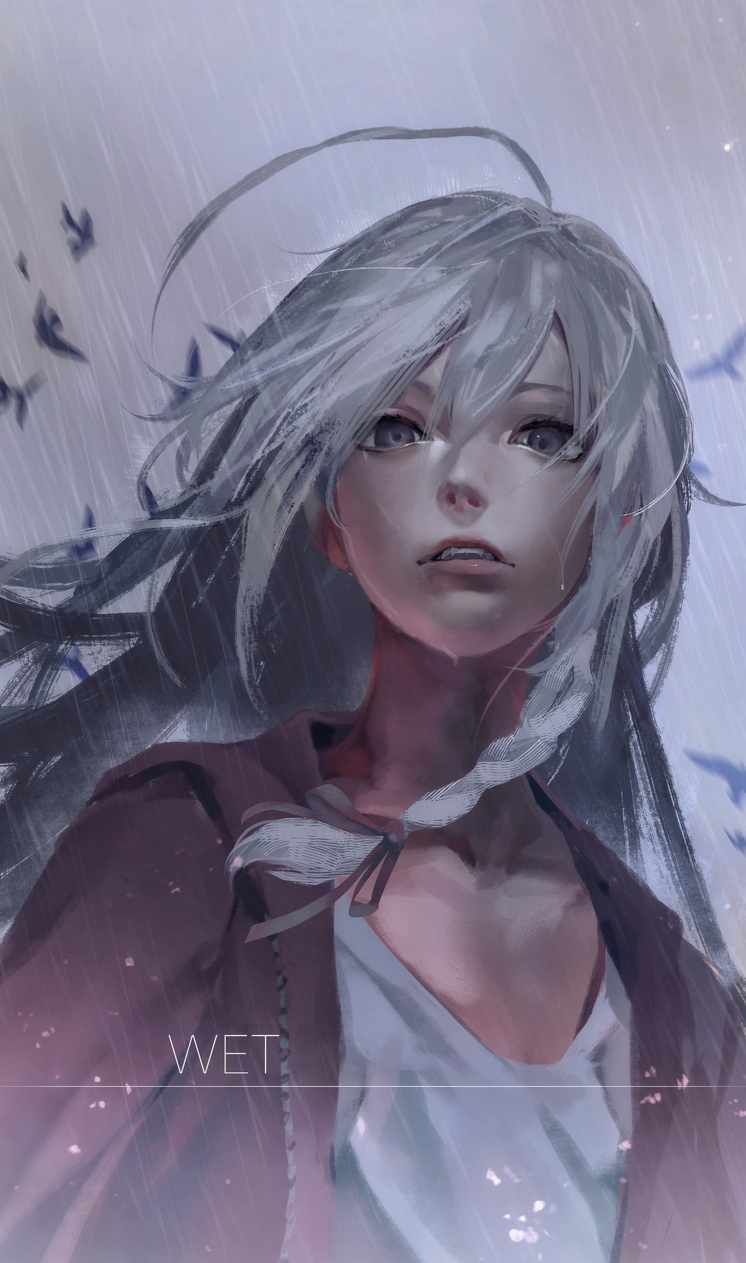 The Big Imageboard Tbib 1girl Absurdres Bird Braid Flock Grey Eyes