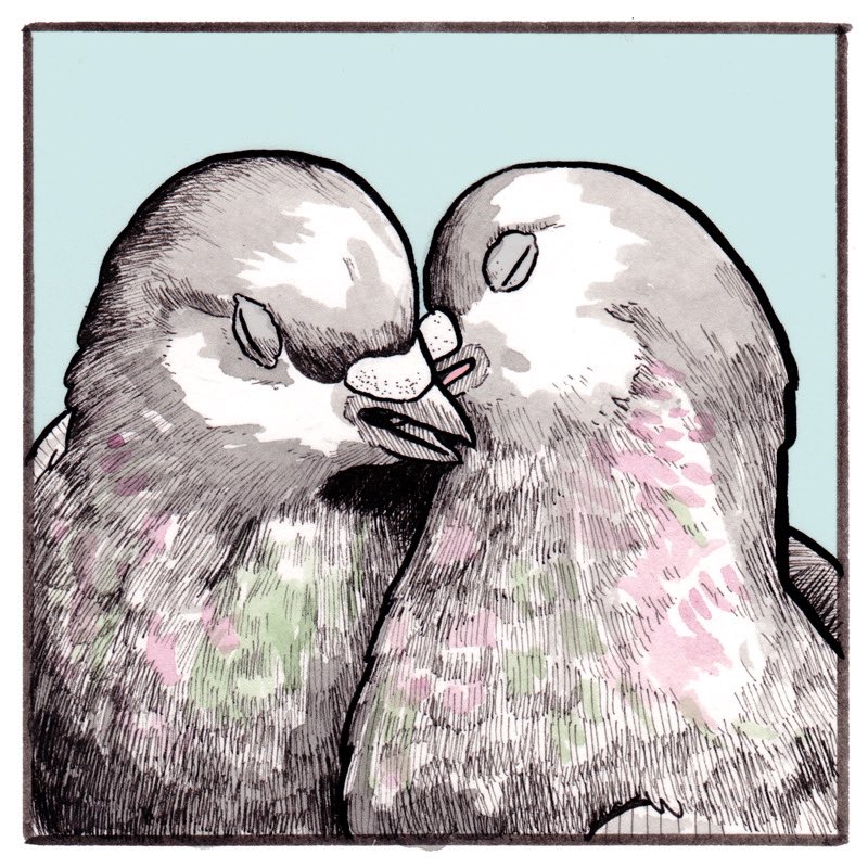 The Big Imageboard Tbib 1 1 2021 Ambiguous Gender Avian Beak Bird