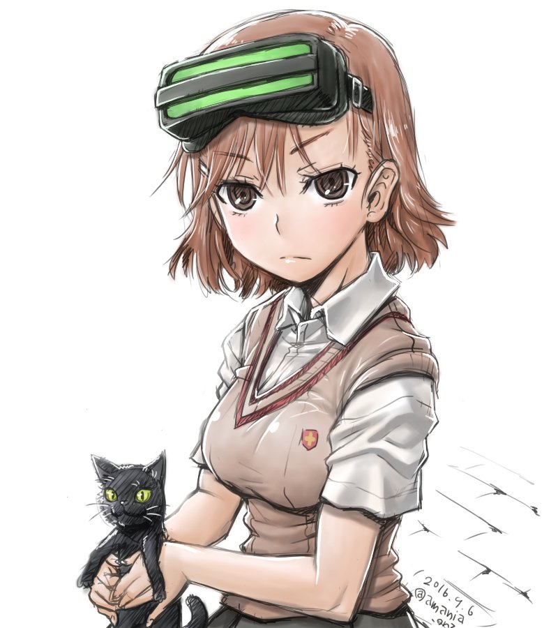 The Big ImageBoard (TBIB) - 1girl amania orz animal black cat breasts brown eyes brown hair ...