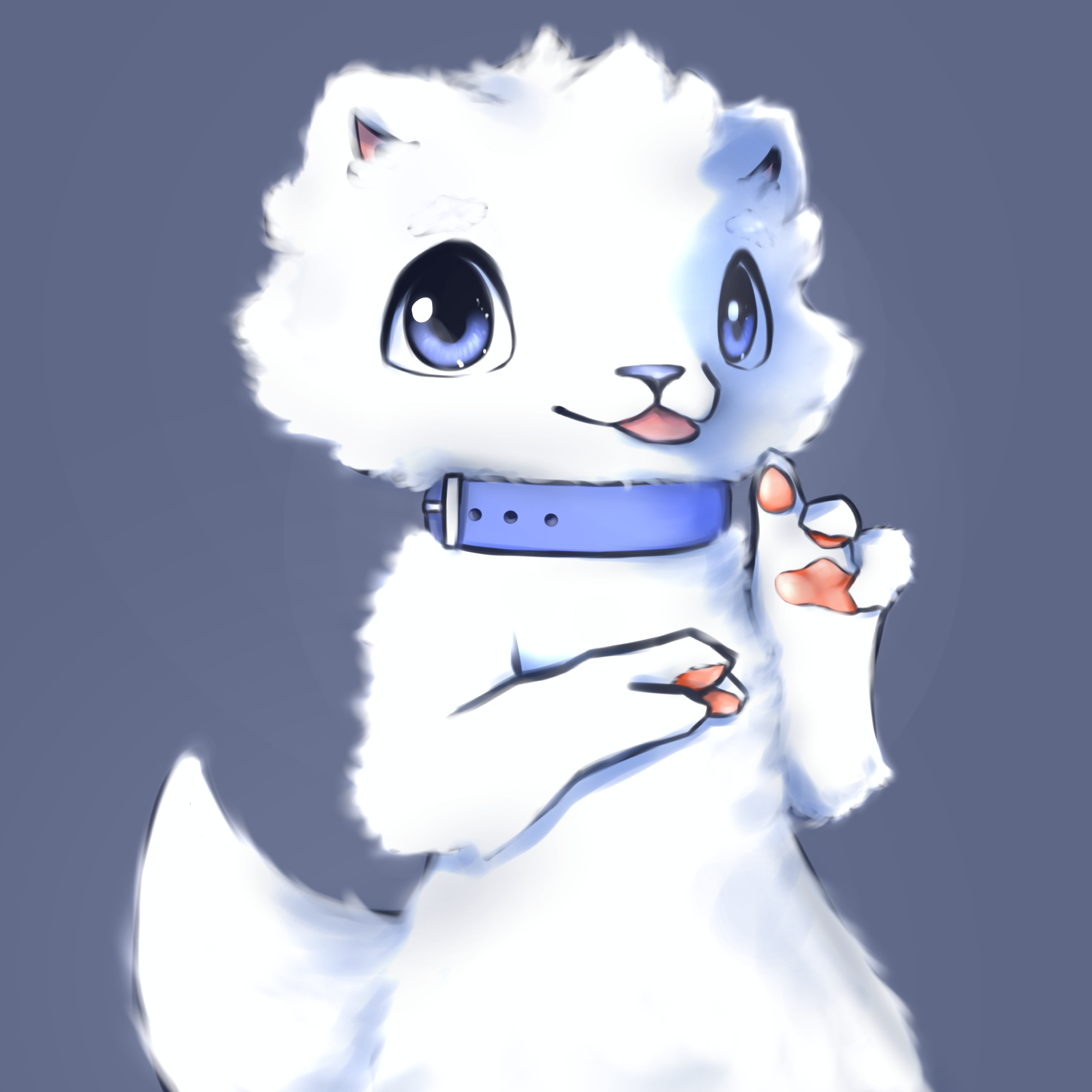 The Big ImageBoard (TBIB) - 1:1 ambiguous gender anthro blep blue eyes blue sclera collar fluffy ...