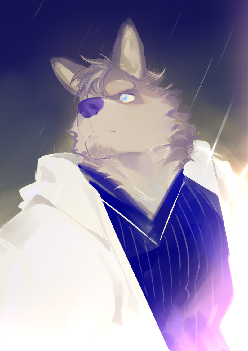 The Big ImageBoard (TBIB) - anthro beard canid canine canis cheek tuft ...