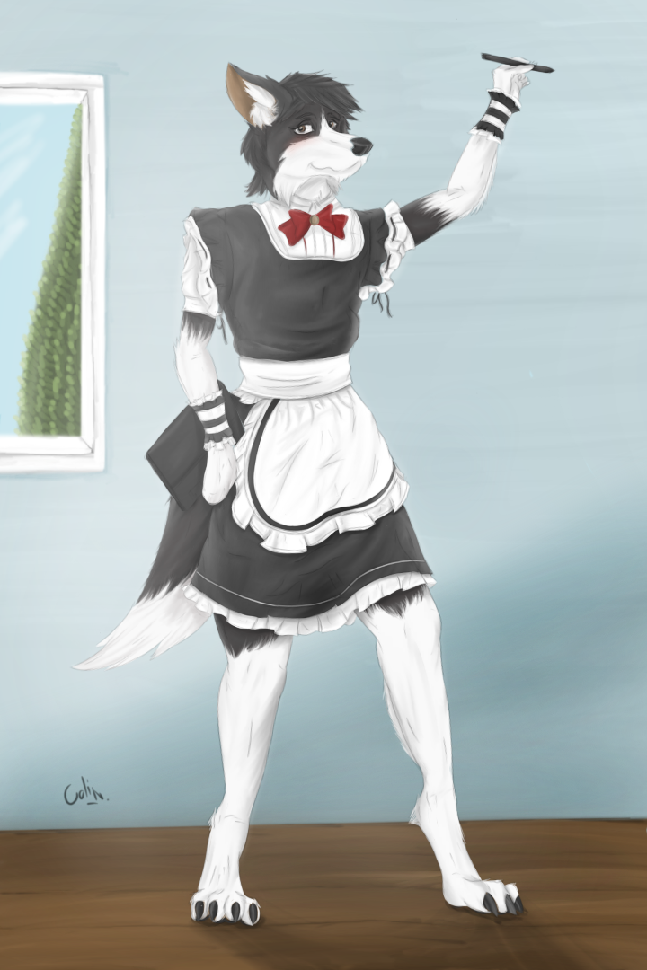 The Big ImageBoard (TBIB) - 2:3 anthro border collie canid canine canis ...