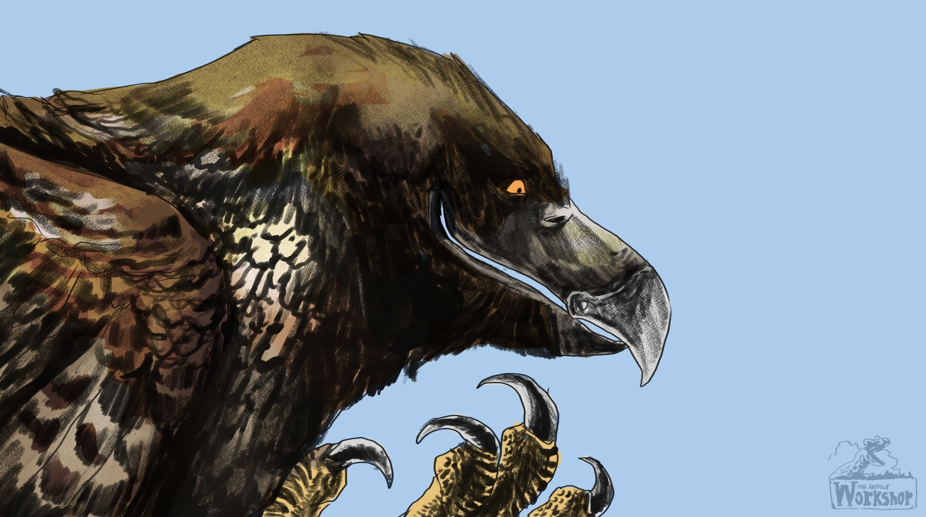 The Big ImageBoard (TBIB) - 2023 accessory accipitrid accipitriform ambiguous gender avian beak ...