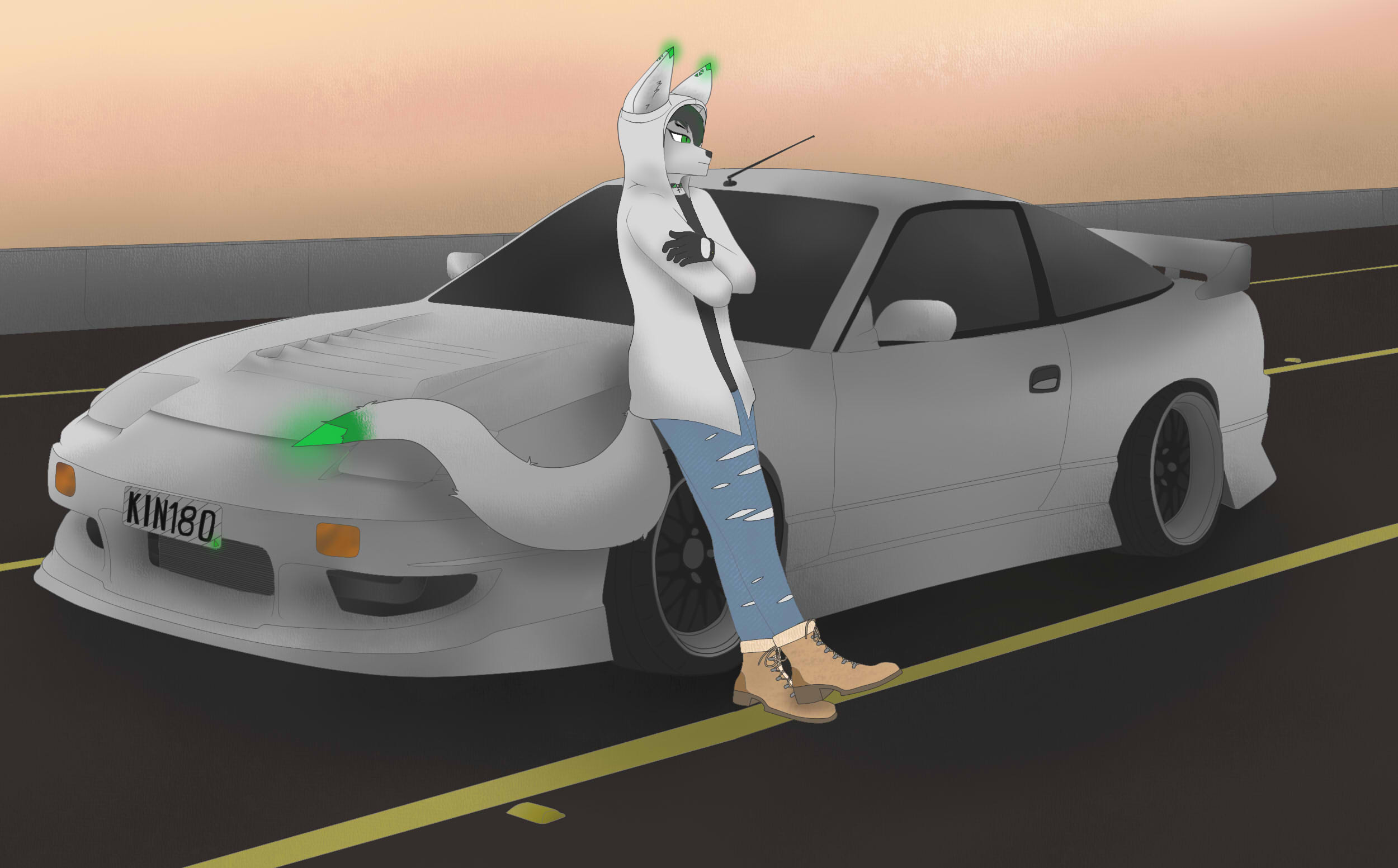 The Big ImageBoard (TBIB) - canid canine canis car hi res k1nky kinky sparkle male male/male ...