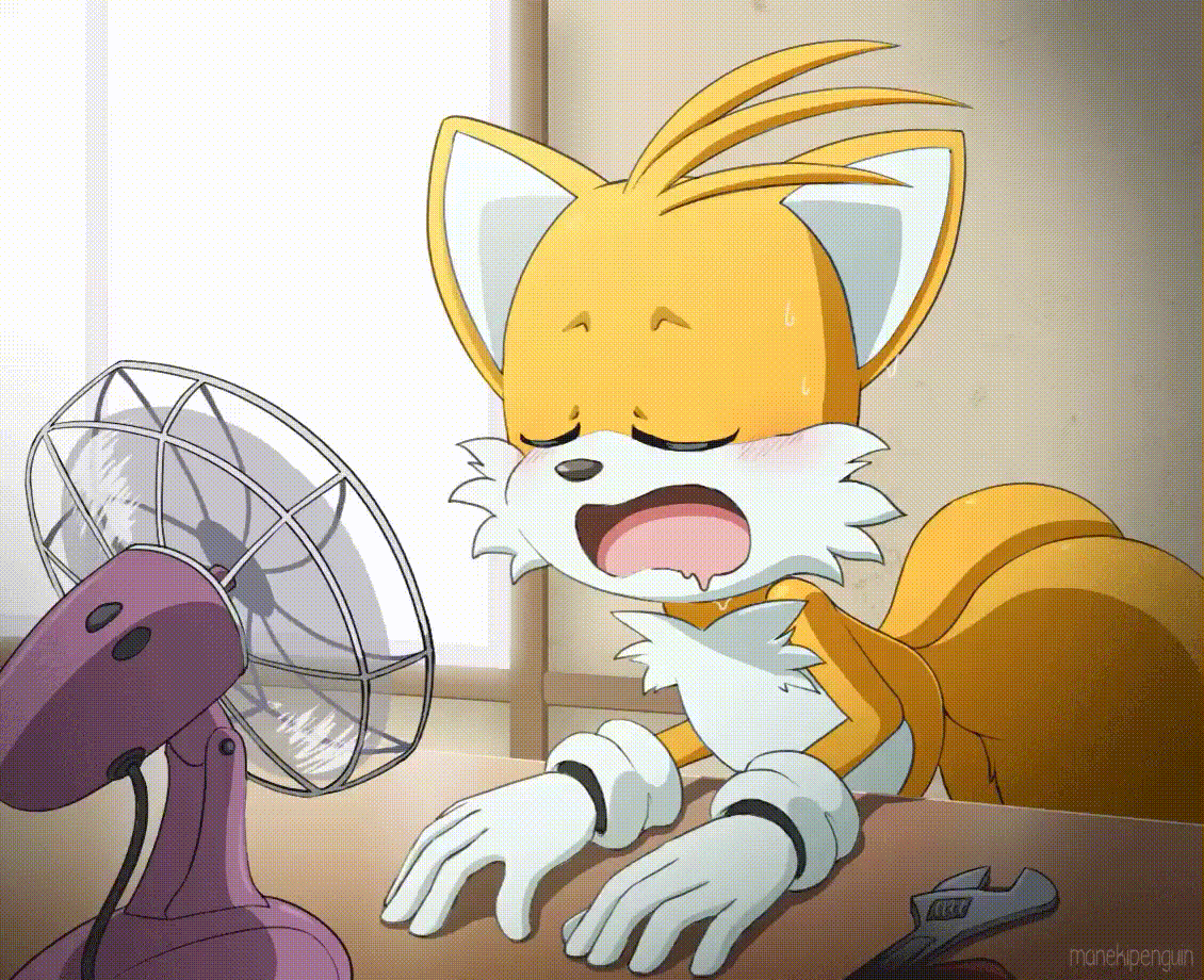 The Big Imageboard Tbib 2020 2 Tails 5 Fingers Animated Anthro