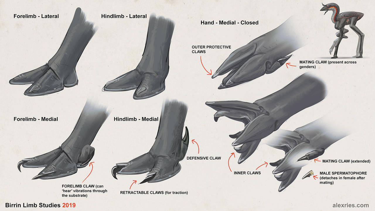 The Big ImageBoard (TBIB) - 4 eyes 6 legs alex ries alien birrin claws ...