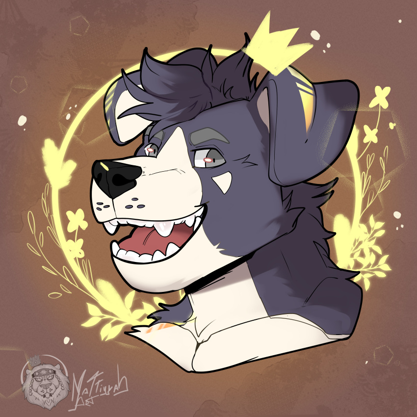 The Big ImageBoard (TBIB) - absurd res bright canid canine canis ...