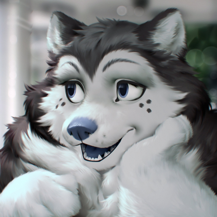 The Big ImageBoard (TBIB) - 1:1 2021 black body black fur blue eyes blue nose blue tongue ...