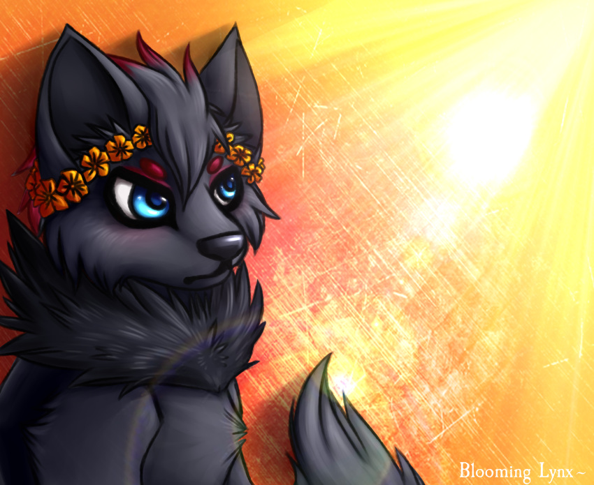 The Big ImageBoard (TBIB) - 2019 ambiguous gender artist name black nose bloominglynx blue eyes ...