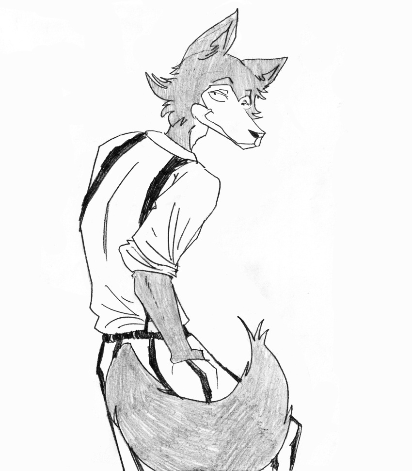 The Big ImageBoard (TBIB) - absurd res arms by side beastars canid canine canis clothing concept ...