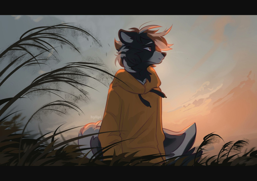 The Big ImageBoard (TBIB) - 2022 anthro canid canine canis clothing day ...