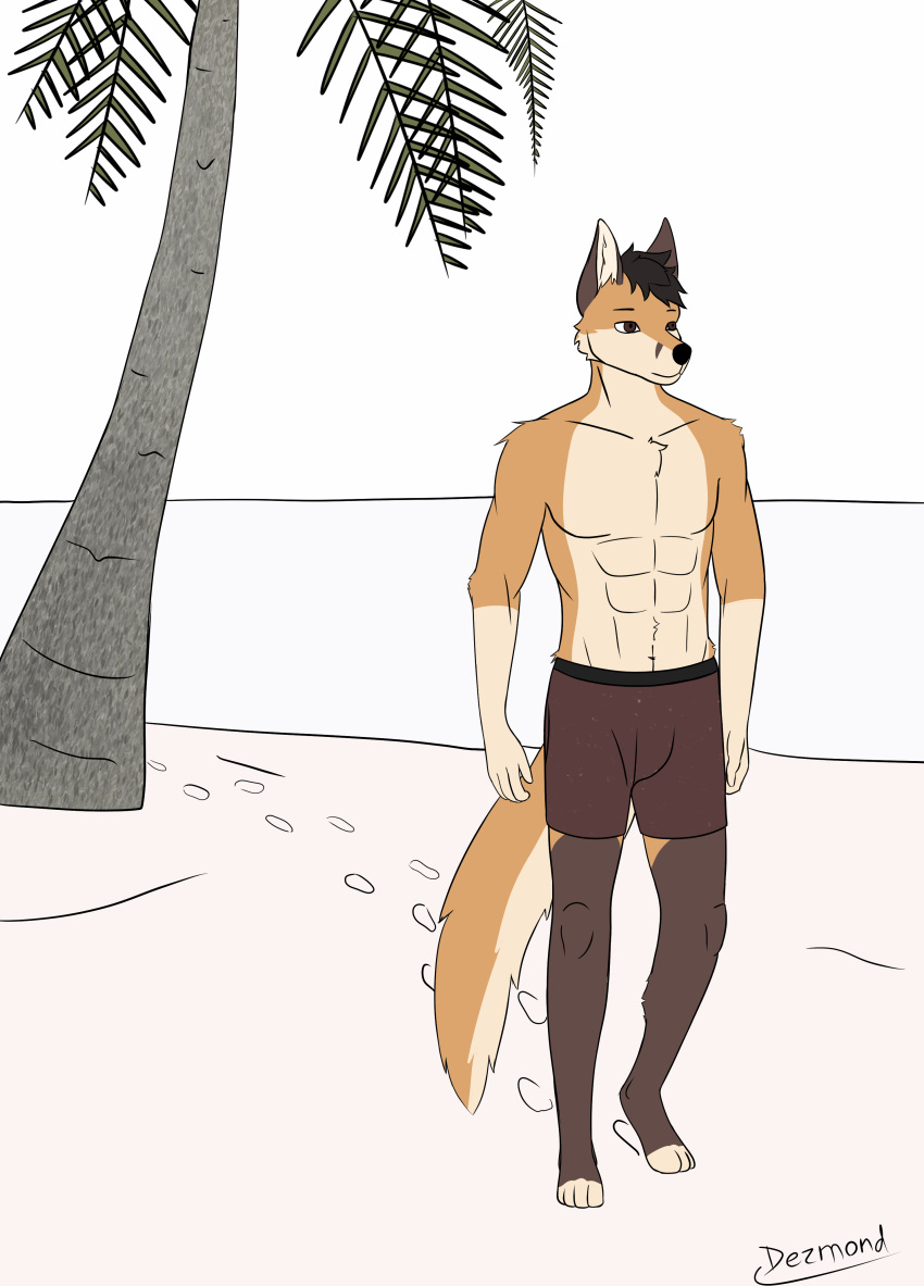 The Big ImageBoard (TBIB) - absurd res anthro black hair bottomwear brown eyes canid canine ...