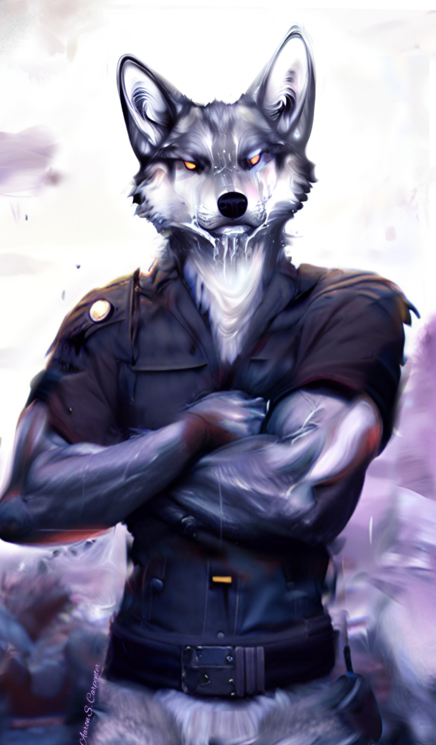 The Big ImageBoard (TBIB) - anthro canid canine canis hi res humanoid hybrid male mammal solo ...