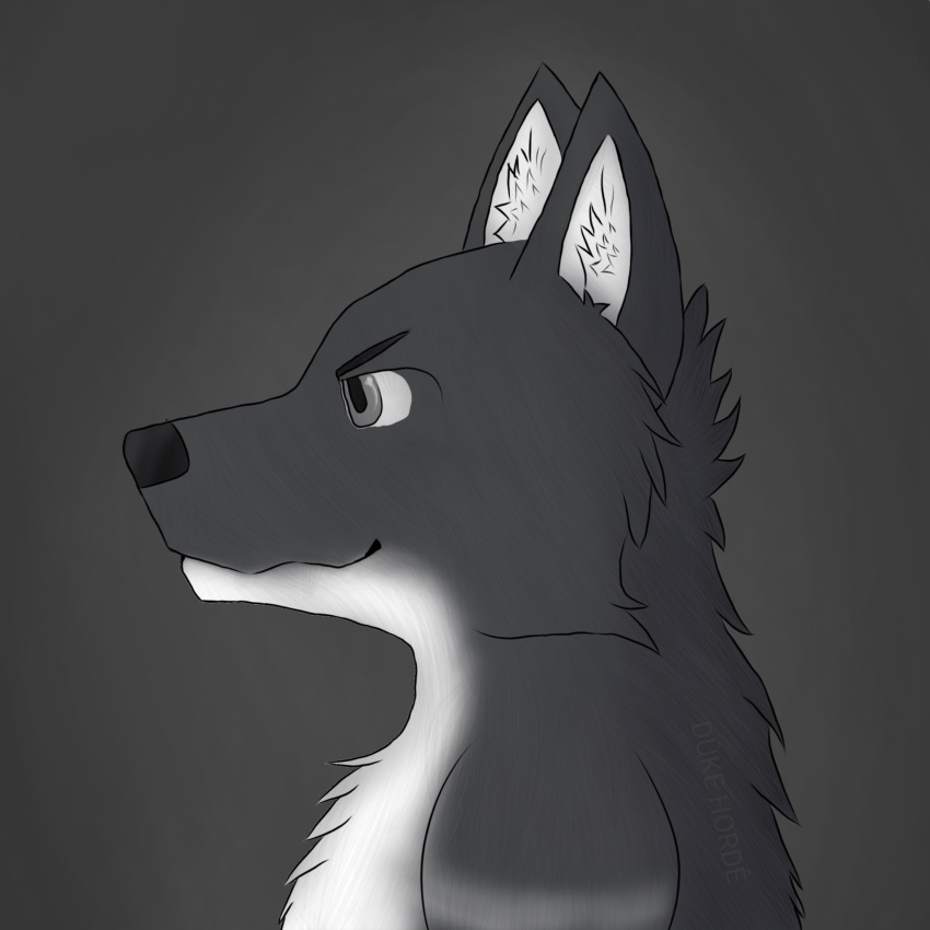 The Big ImageBoard (TBIB) - 1:1 anthro black body black fur canid canine canis digital media ...