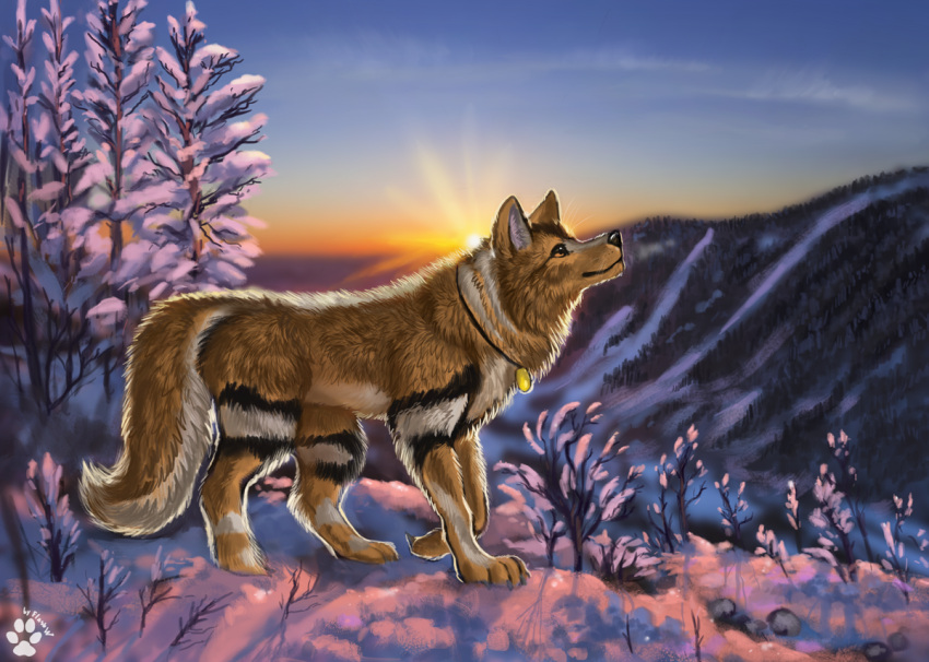 The Big ImageBoard (TBIB) - 2022 ambiguous gender black nose brown body brown fur canid canine ...