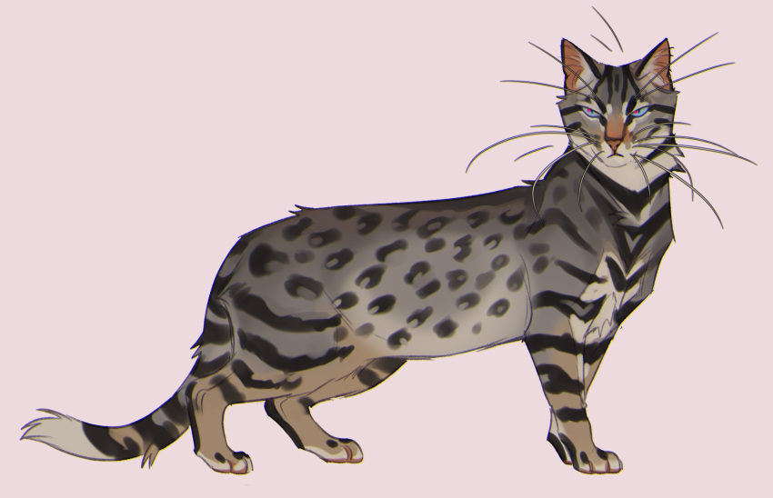 The Big ImageBoard (TBIB) - ambiguous gender black spots black stripes ...