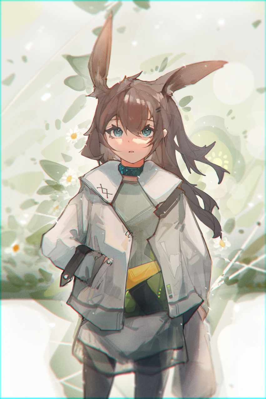 The Big ImageBoard (TBIB) - 1girl absurdres amiya (arknights) animal ears arknights black collar ...