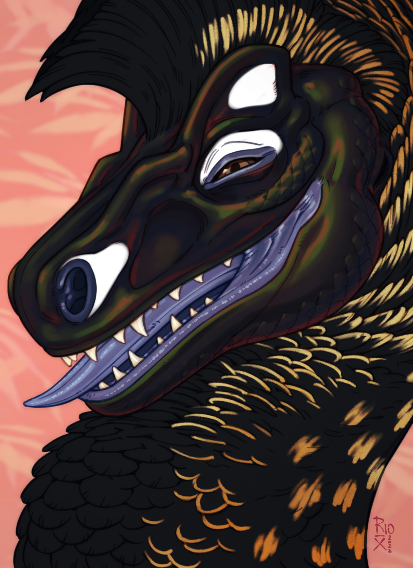 The Big ImageBoard (TBIB) - 2022 ambiguous gender artist logo black body black feathers black ...