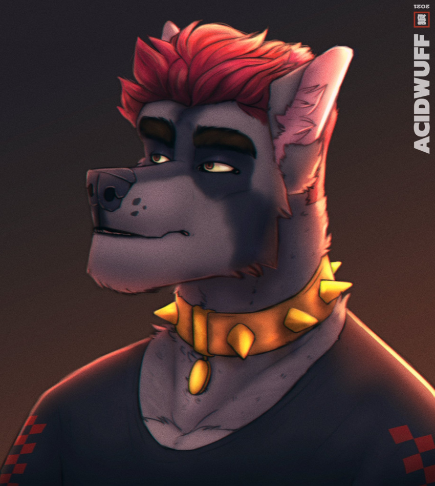 The Big ImageBoard (TBIB) - 2021 acidwuff anthro artist name black clothing black topwear brown ...
