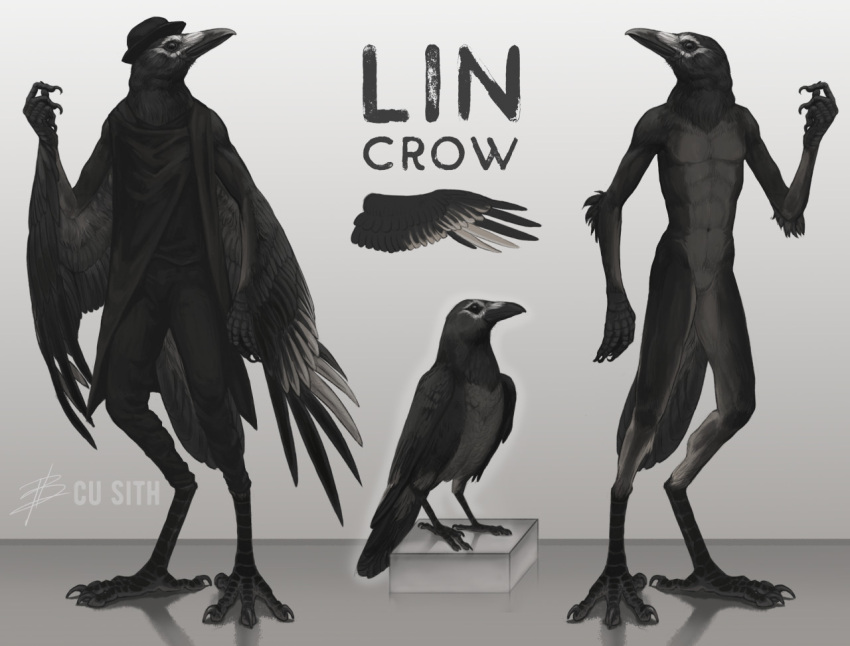 The Big ImageBoard (TBIB) - anthro avian avian feet beak bird black ...