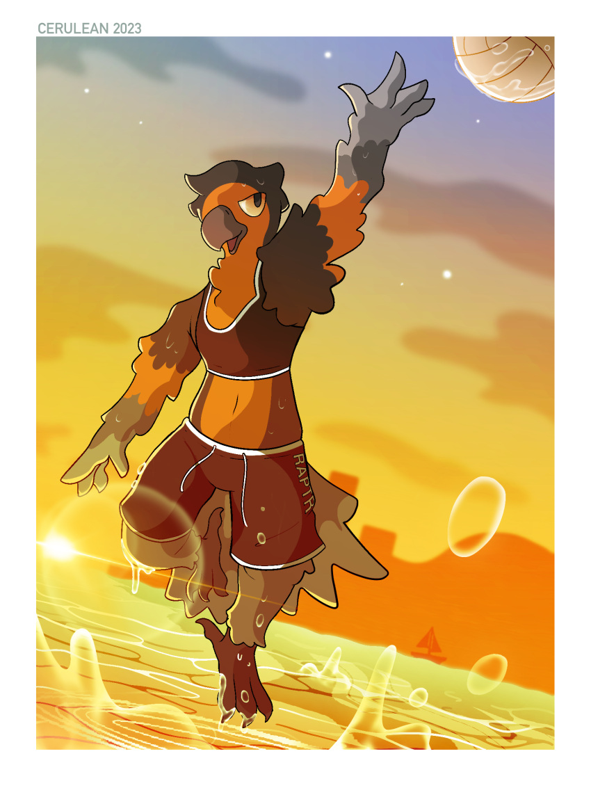 The Big Imageboard Tbib 34 Anthro Avian Ball Bird Border Bra 2229
