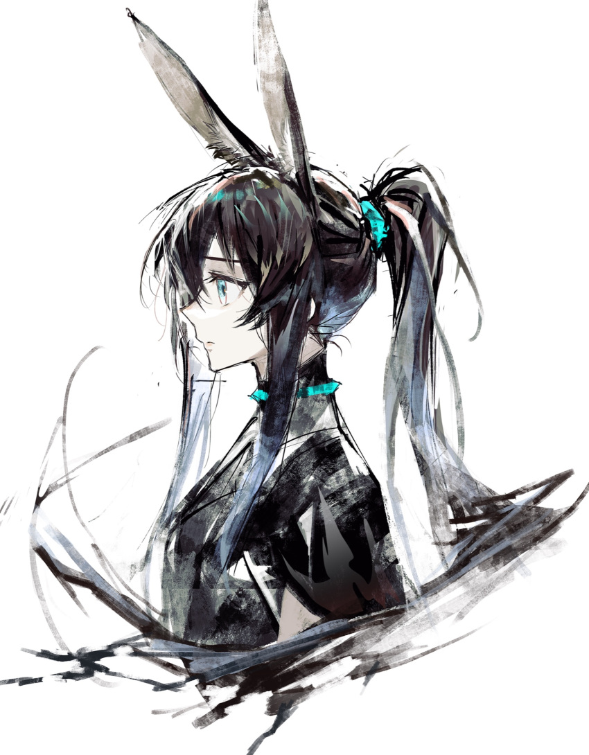 The Big ImageBoard (TBIB) - 1girl amiya (arknights) animal ears arknights black dress blue ...