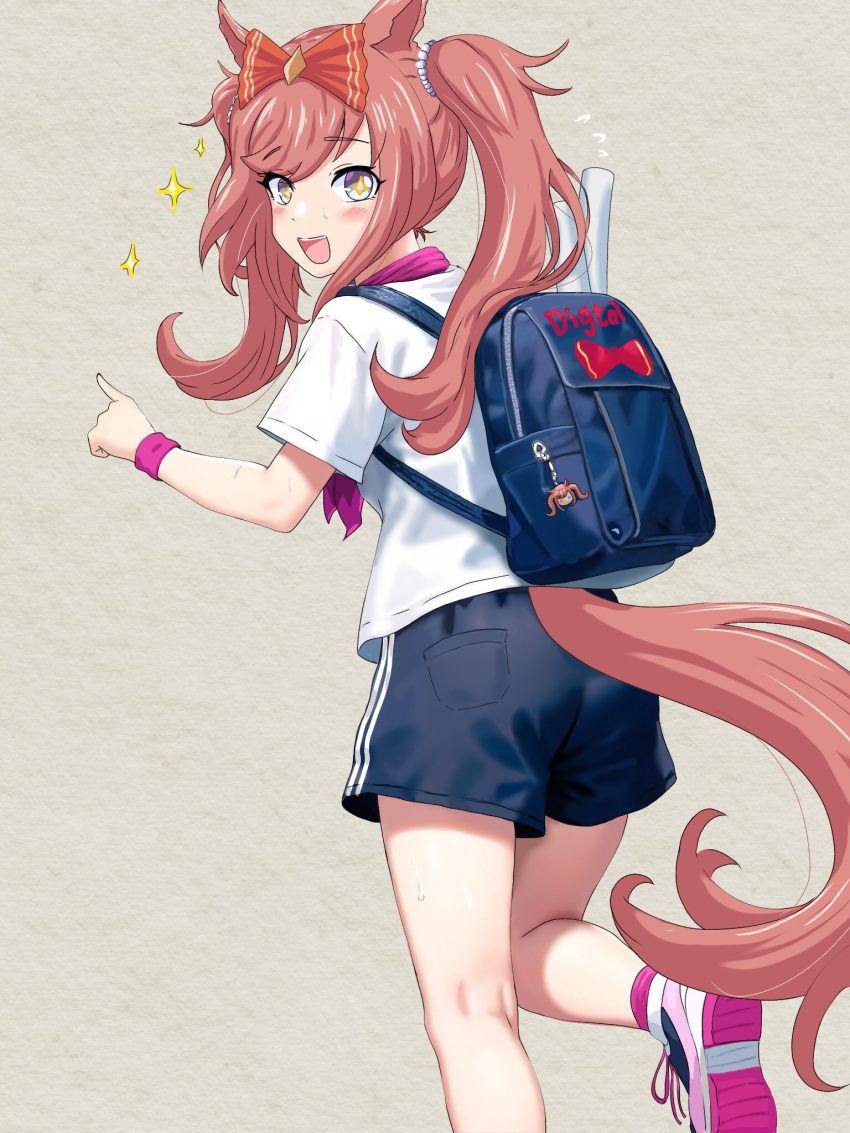 The Big ImageBoard (TBIB) - + + 1girl agnes digital (umamusume ...