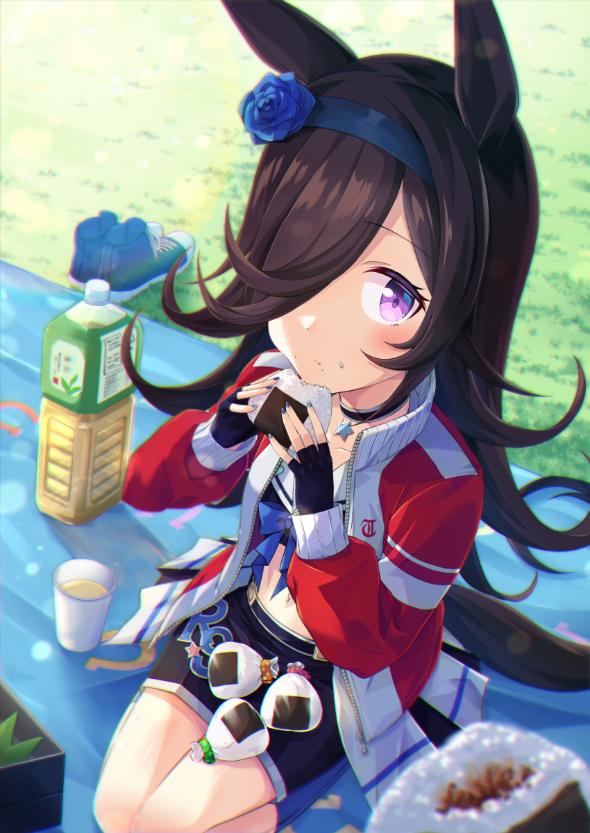 The Big ImageBoard (TBIB) - 1girl animal ears black hair blush bottle casual cup eating ...