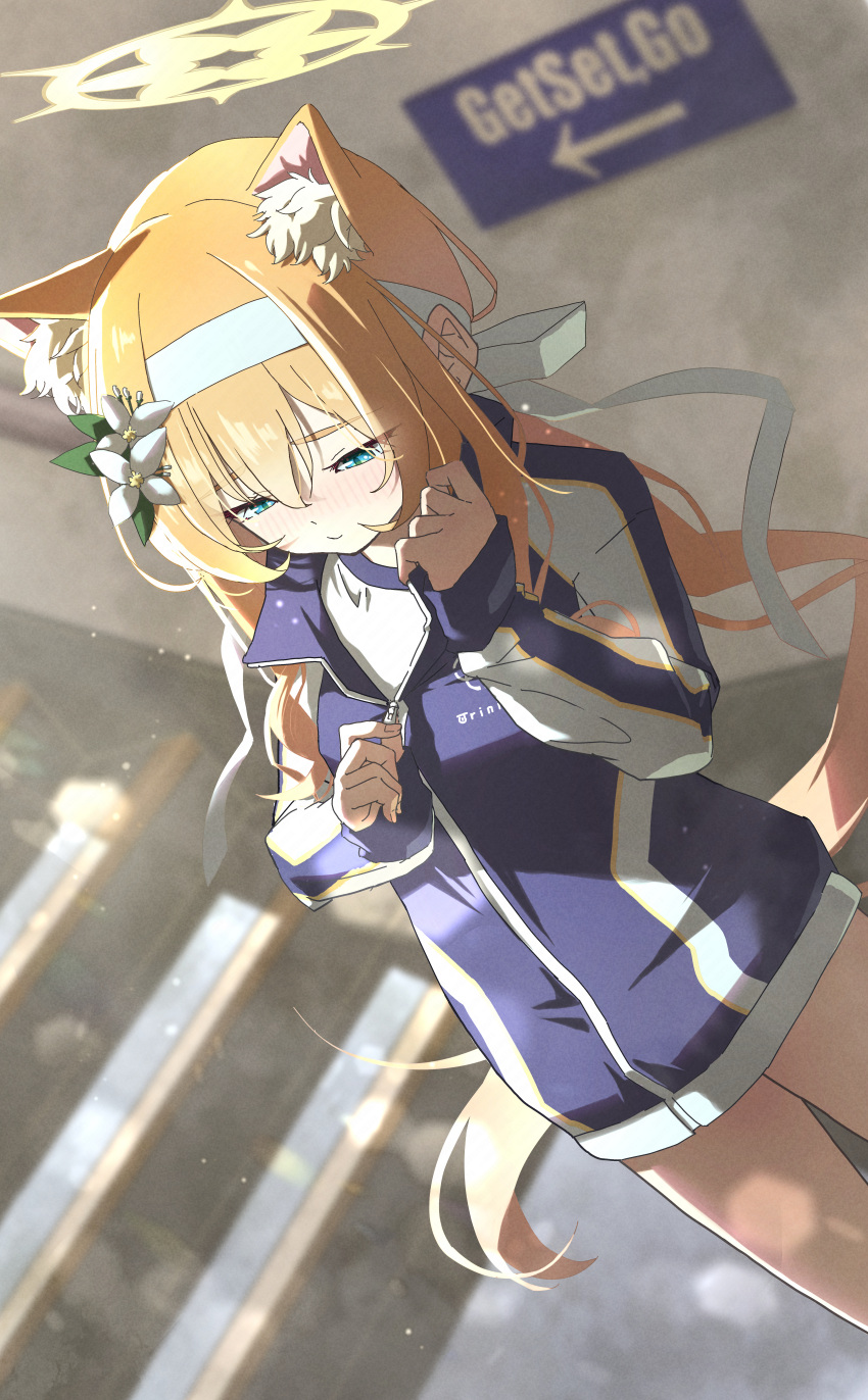 The Big ImageBoard (TBIB) - 1girl absurdres animal ear fluff animal ...